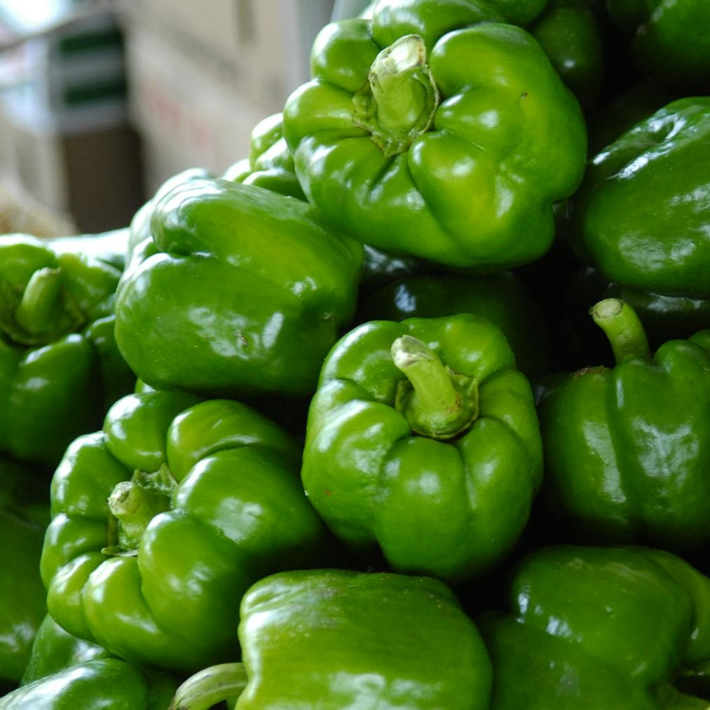 Capsicum - Green (per kg) – Welkin